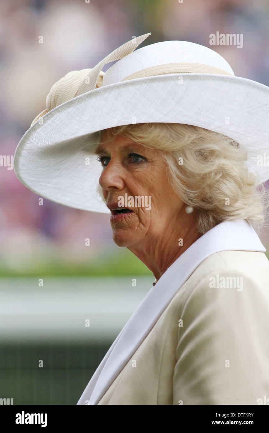 Camilla duchess cornwall hi-res stock photography and images - Alamy