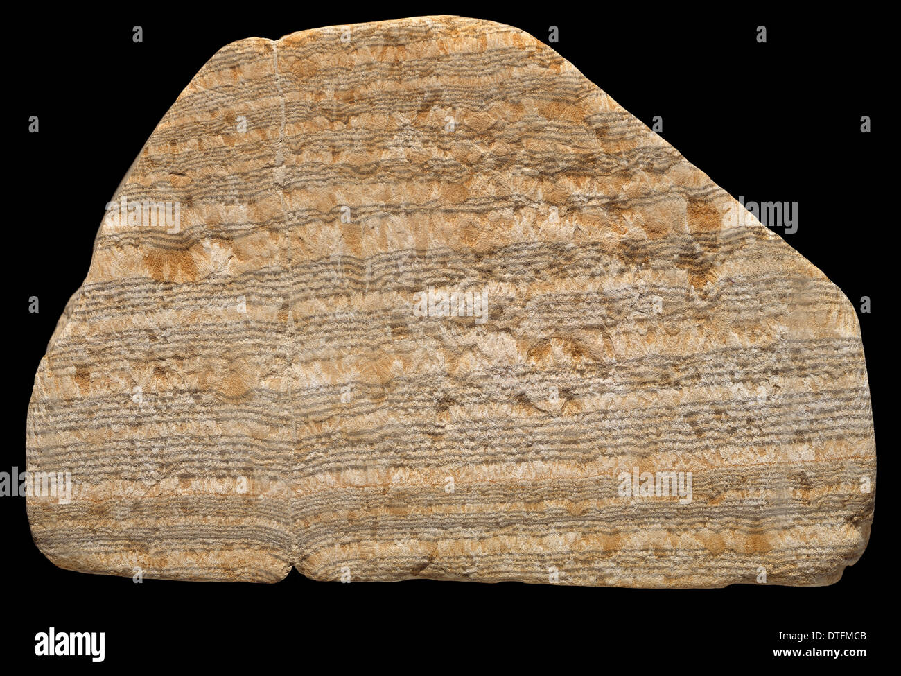 Sunday Stone High Resolution Stock Photography and Images - Alamy