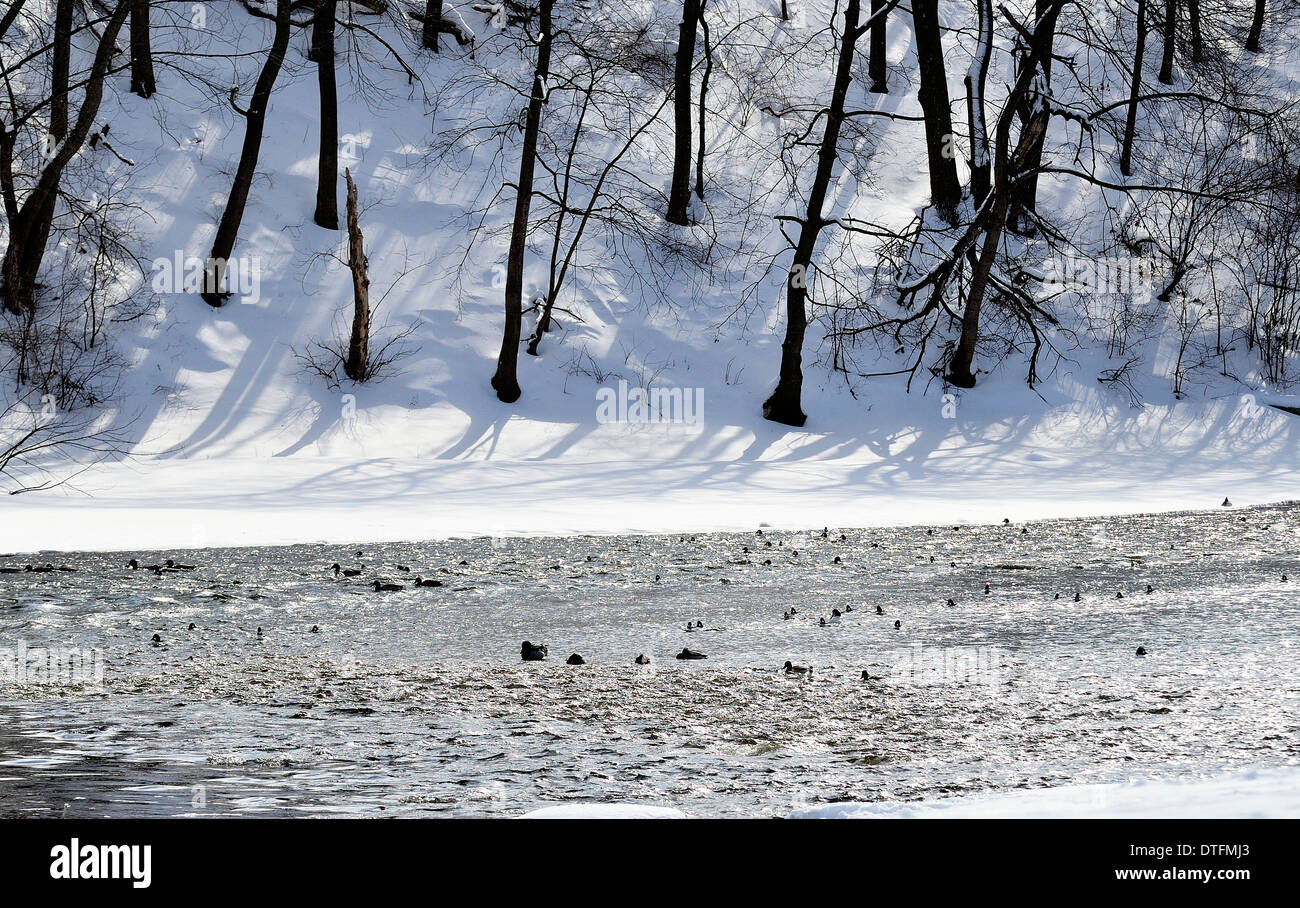 River valley in winter Stock Photo - Alamy