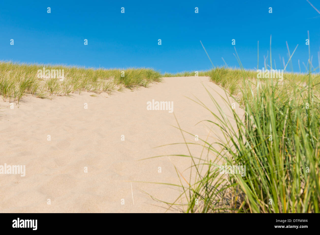 Parabolic dunes hi-res stock photography and images - Alamy