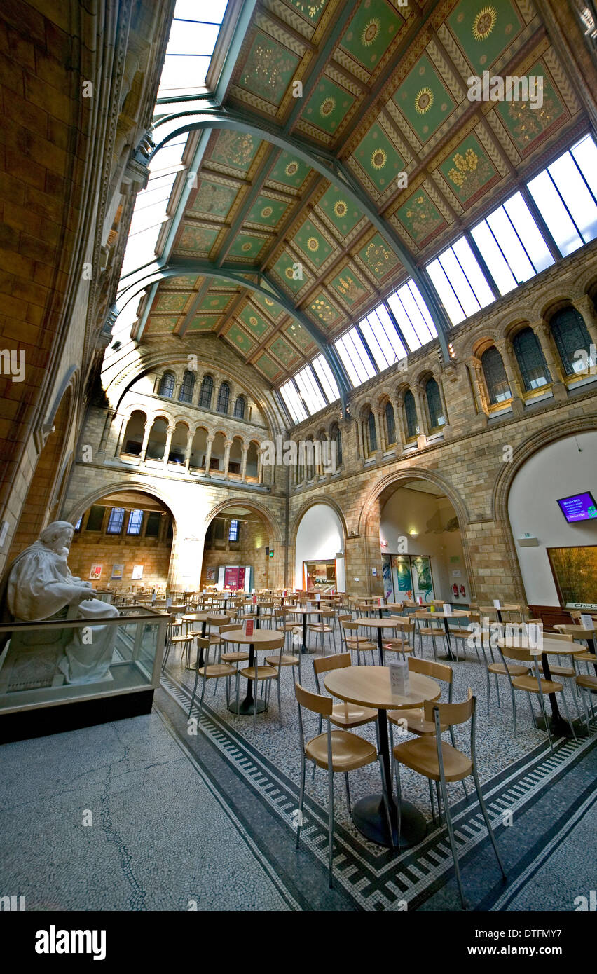 North hall cafeteria Stock Photo - Alamy