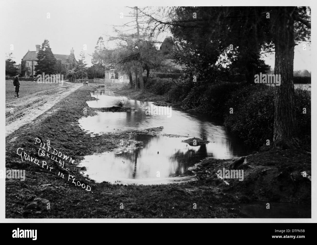 Piltdown man skull Black and White Stock Photos & Images - Alamy