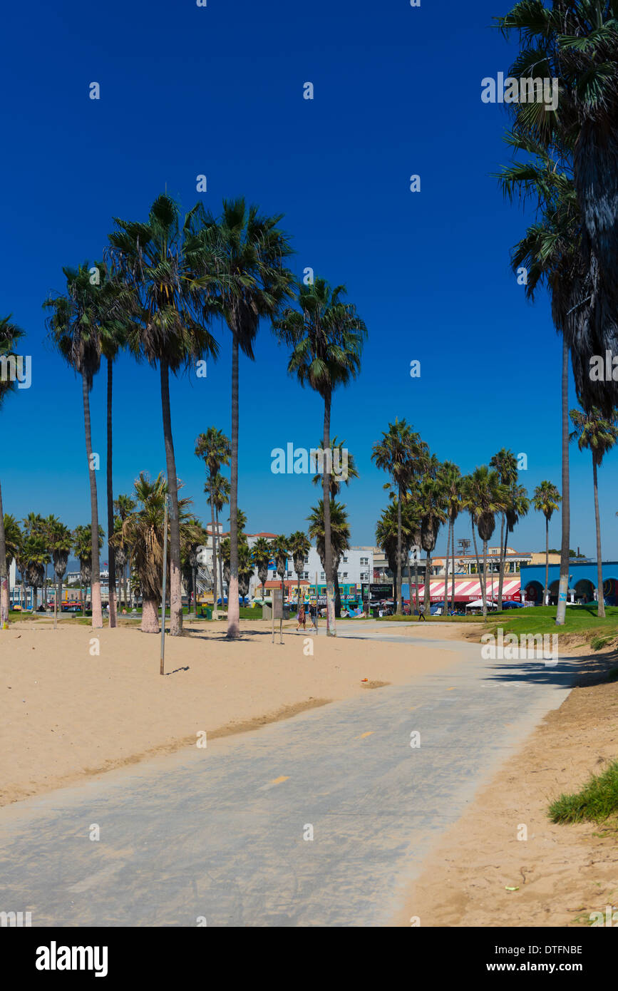 Bike trail In Venice Beach, Los Angeles, California Stock Photo - Alamy