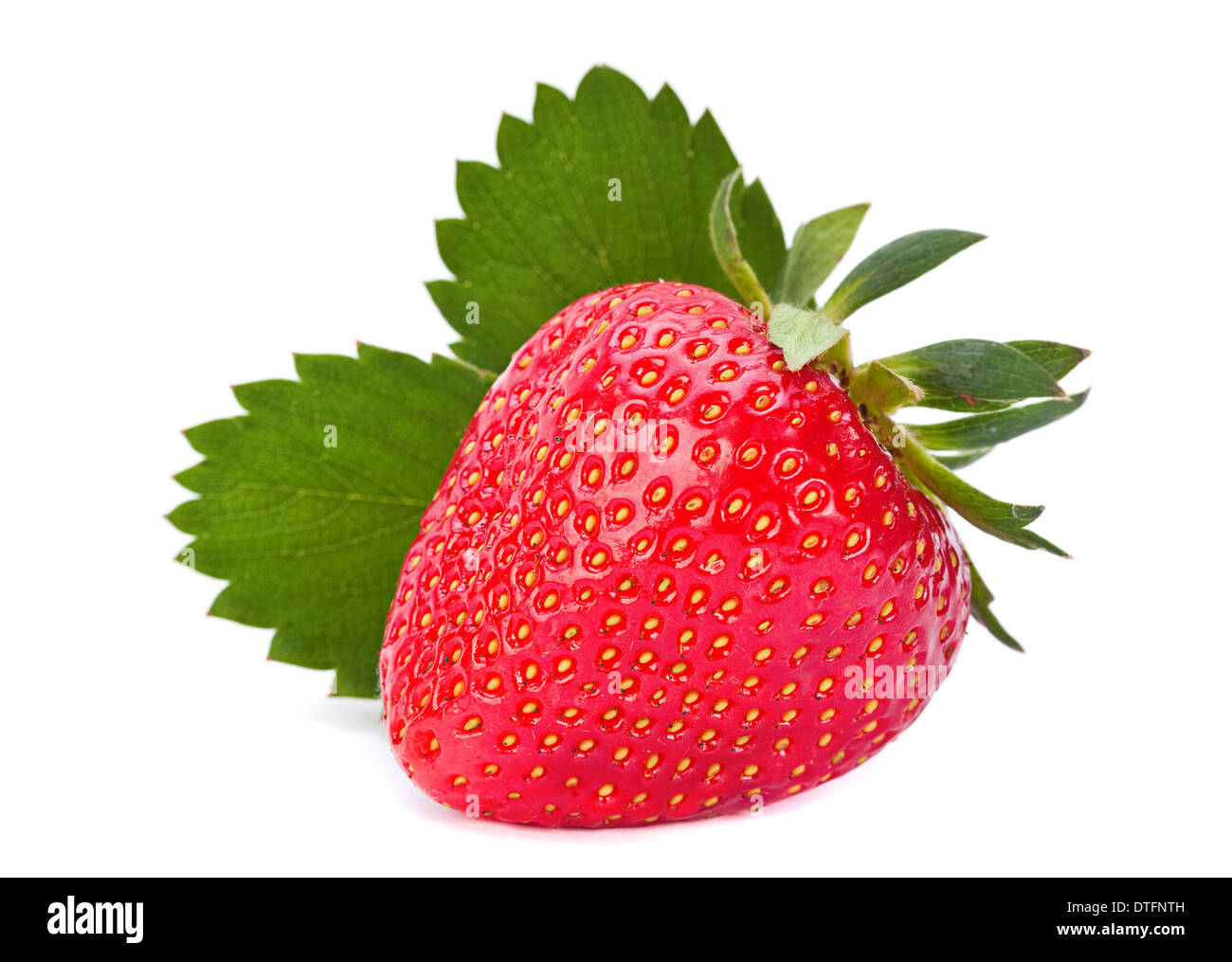 Strawberry with leaf hi-res stock photography and images - Alamy