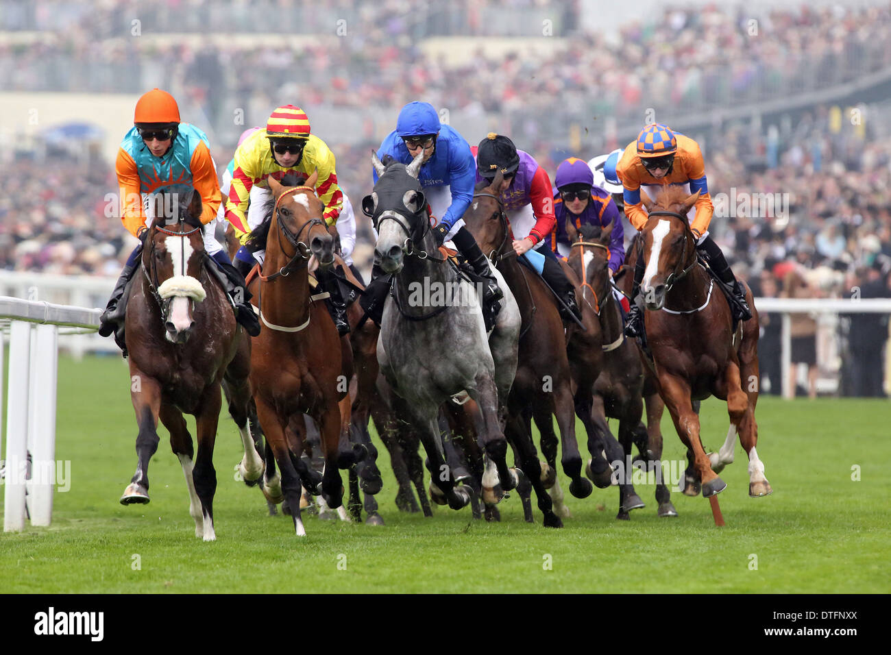 British jockey’s hi-res stock photography and images - Alamy