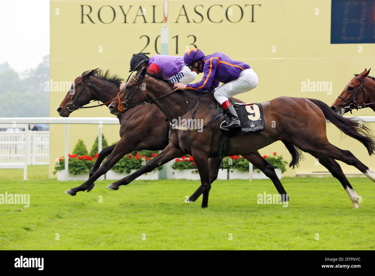 Queen royal ascot estimate hi-res stock photography and images - Alamy
