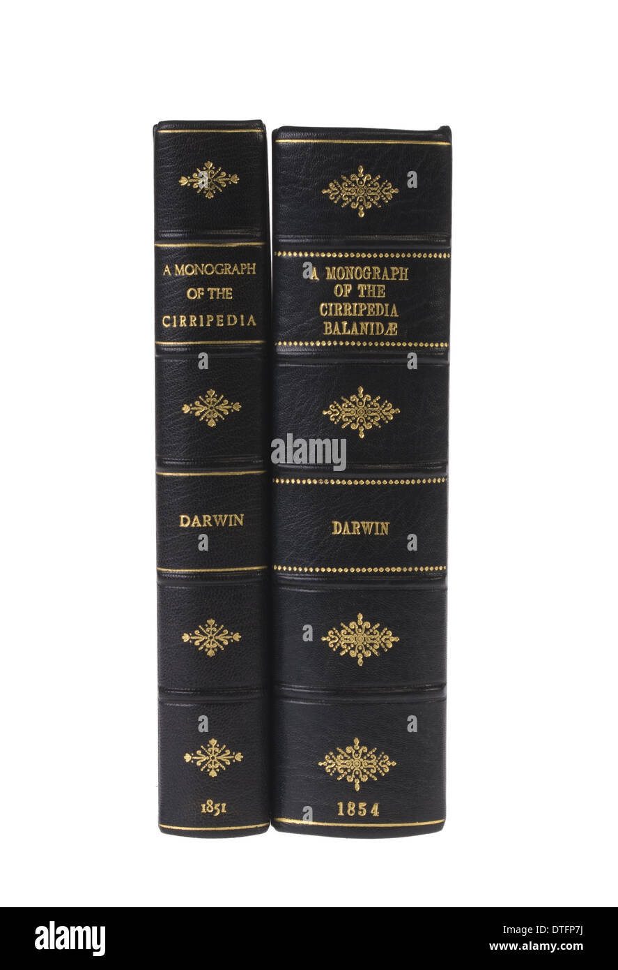 The first the Cut Out Stock Images & Pictures - Alamy