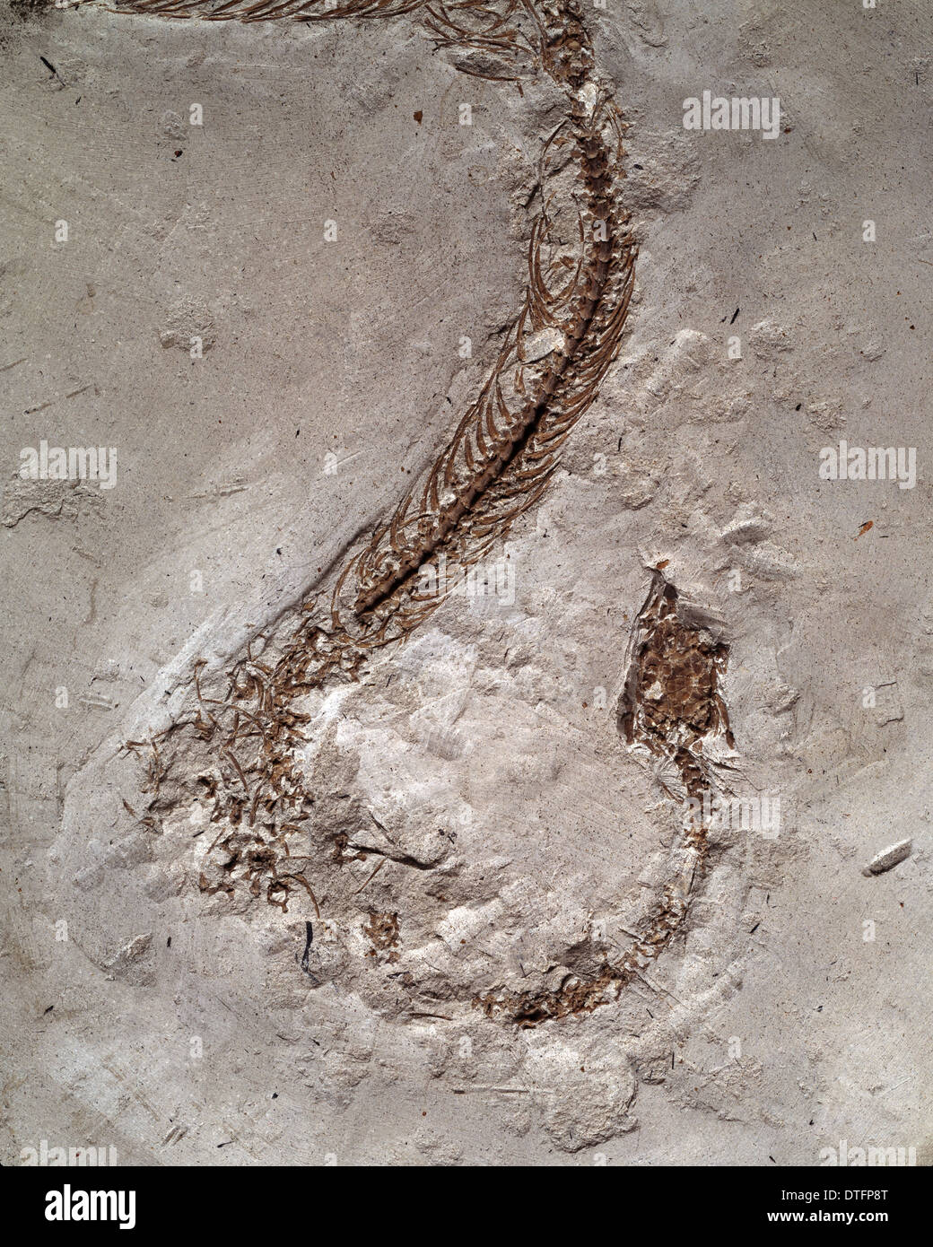 Kargi hi-res stock photography and images - Alamy