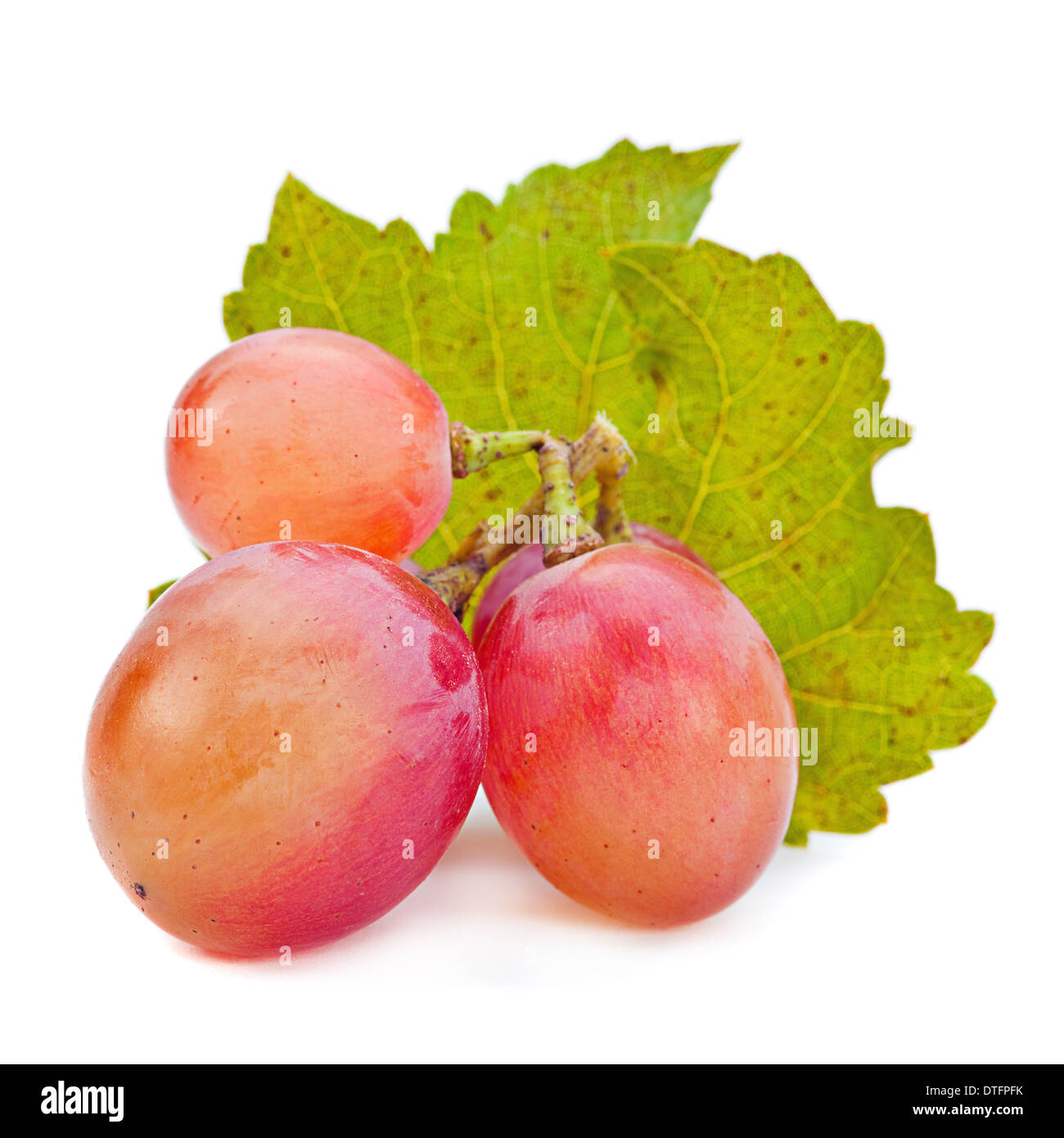 Big pink hi-res stock photography and images - Alamy