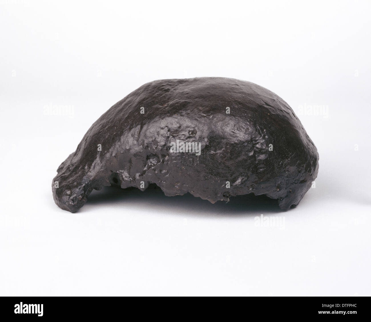 Homo erectus cranium (Trinil 2 Stock Photo - Alamy