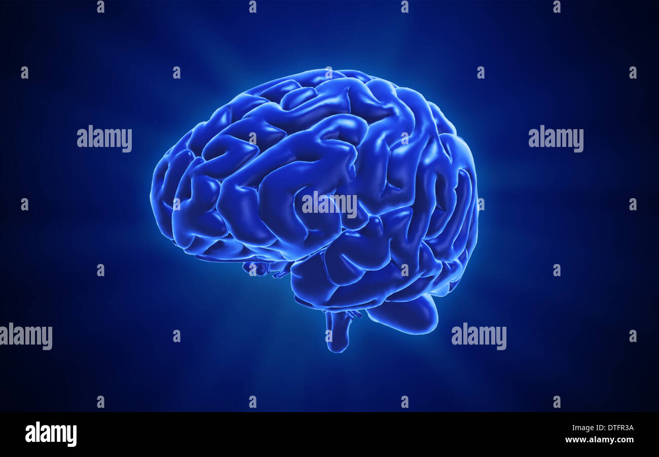 Human Intelligence or psychology concept illustration Stock Photo - Alamy