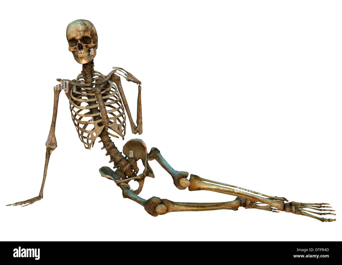 3D digital render of an old human sitting and smiling skeleton isolated ...
