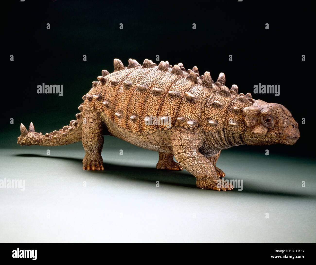 Ankylosaur hi-res stock photography and images - Alamy
