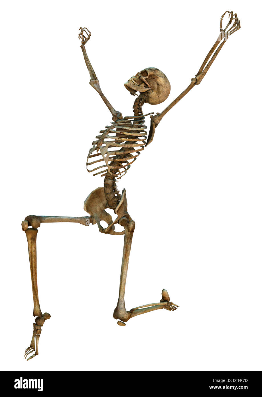 3D digital render of an old human skeleton isolated on white background ...