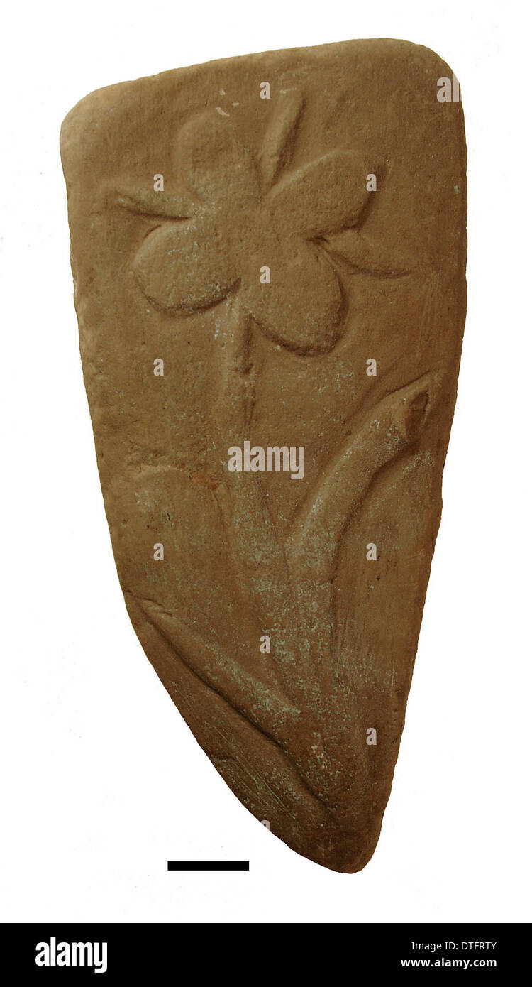 Fake fossil Cut Out Stock Images & Pictures - Alamy
