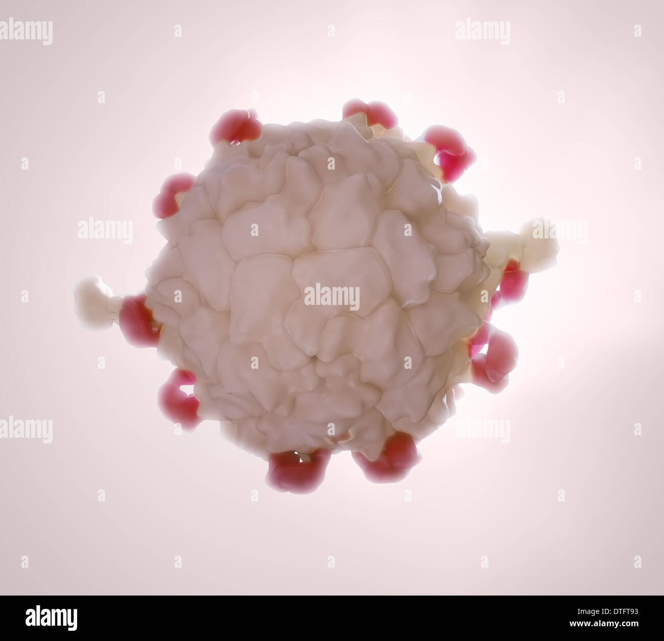 Highly detailed model of blood serum protein Stock Photo - Alamy