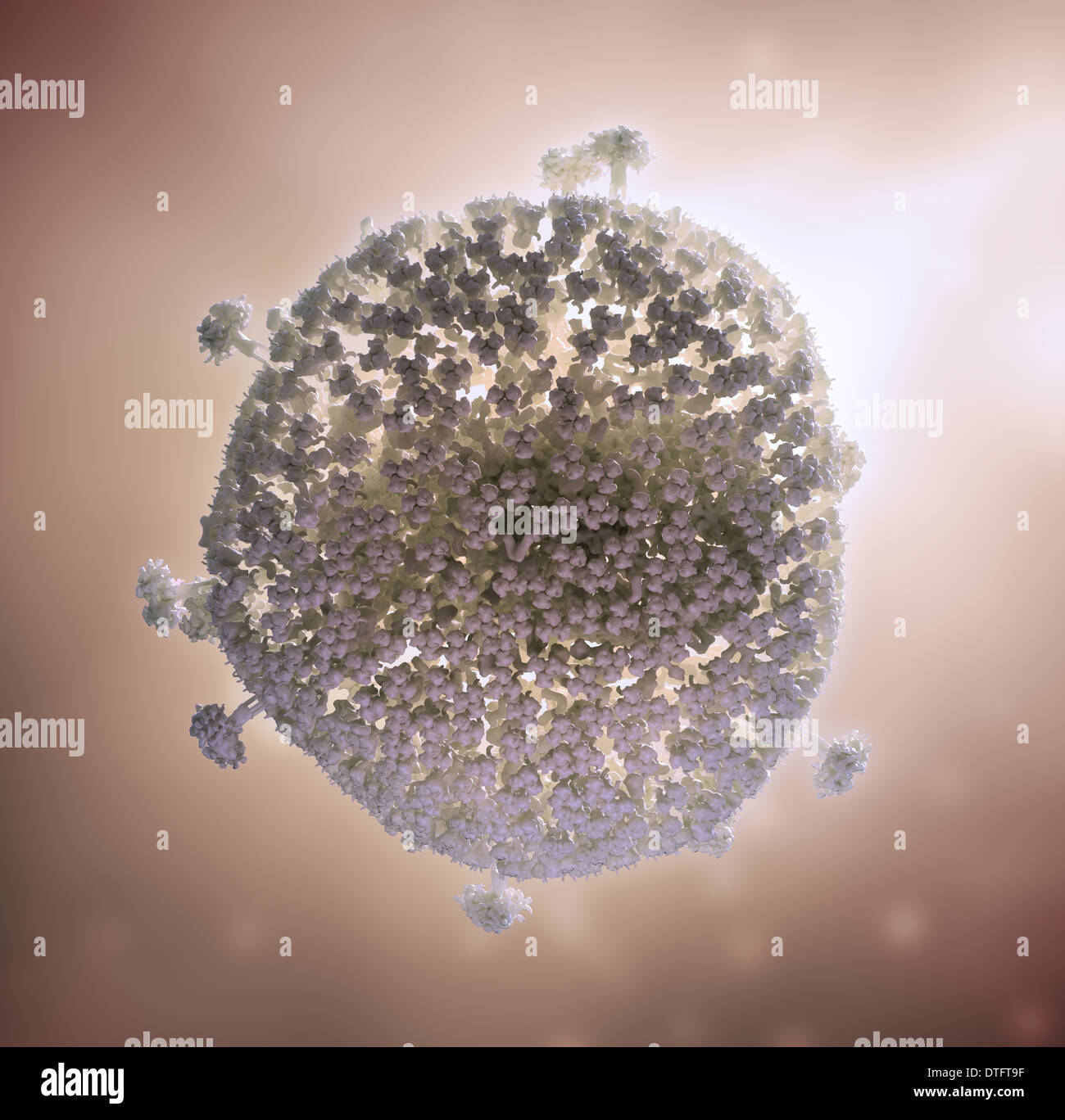 Detailed rendering hi-res stock photography and images - Alamy