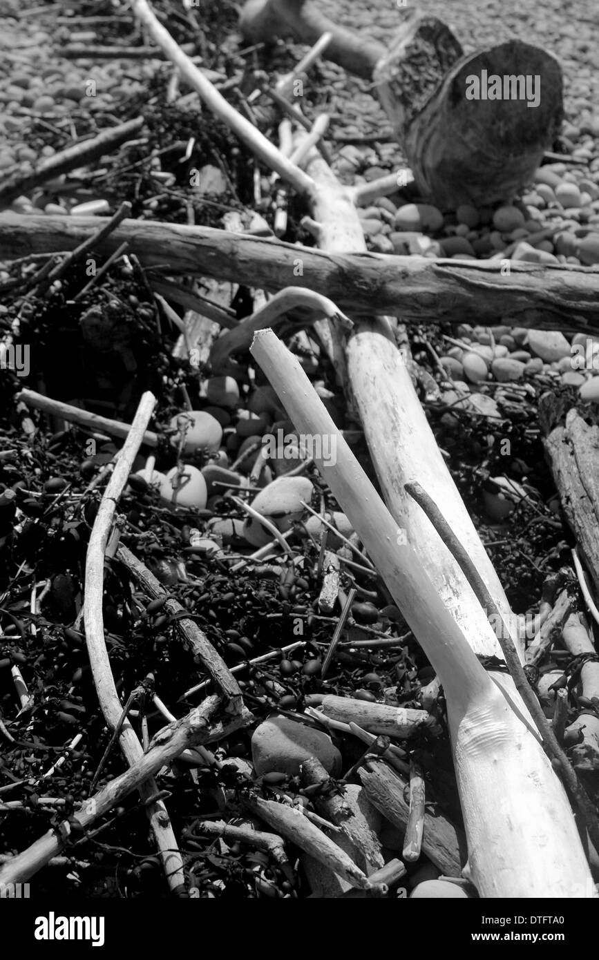 Beach on fire Black and White Stock Photos & Images - Alamy