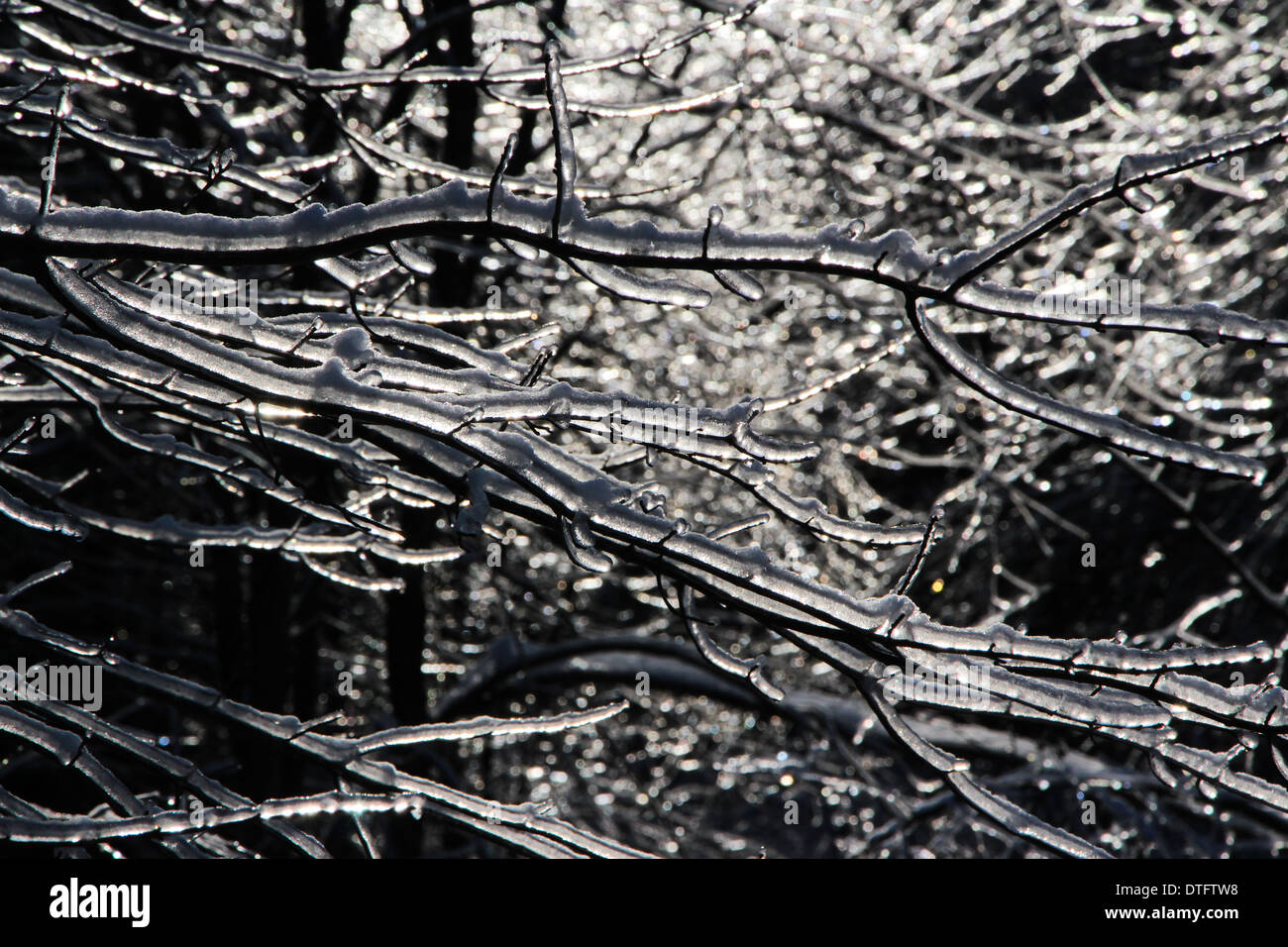 Silver thaw hi-res stock photography and images - Alamy