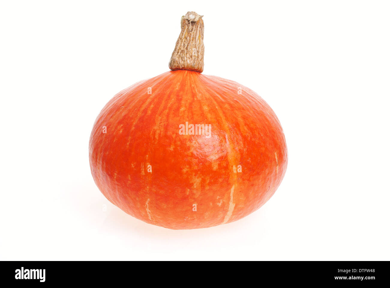 Pumpkin isolated on white Stock Photo - Alamy