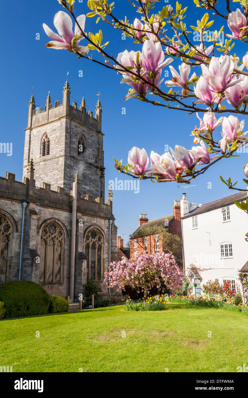 Alcester hi-res stock photography and images - Alamy