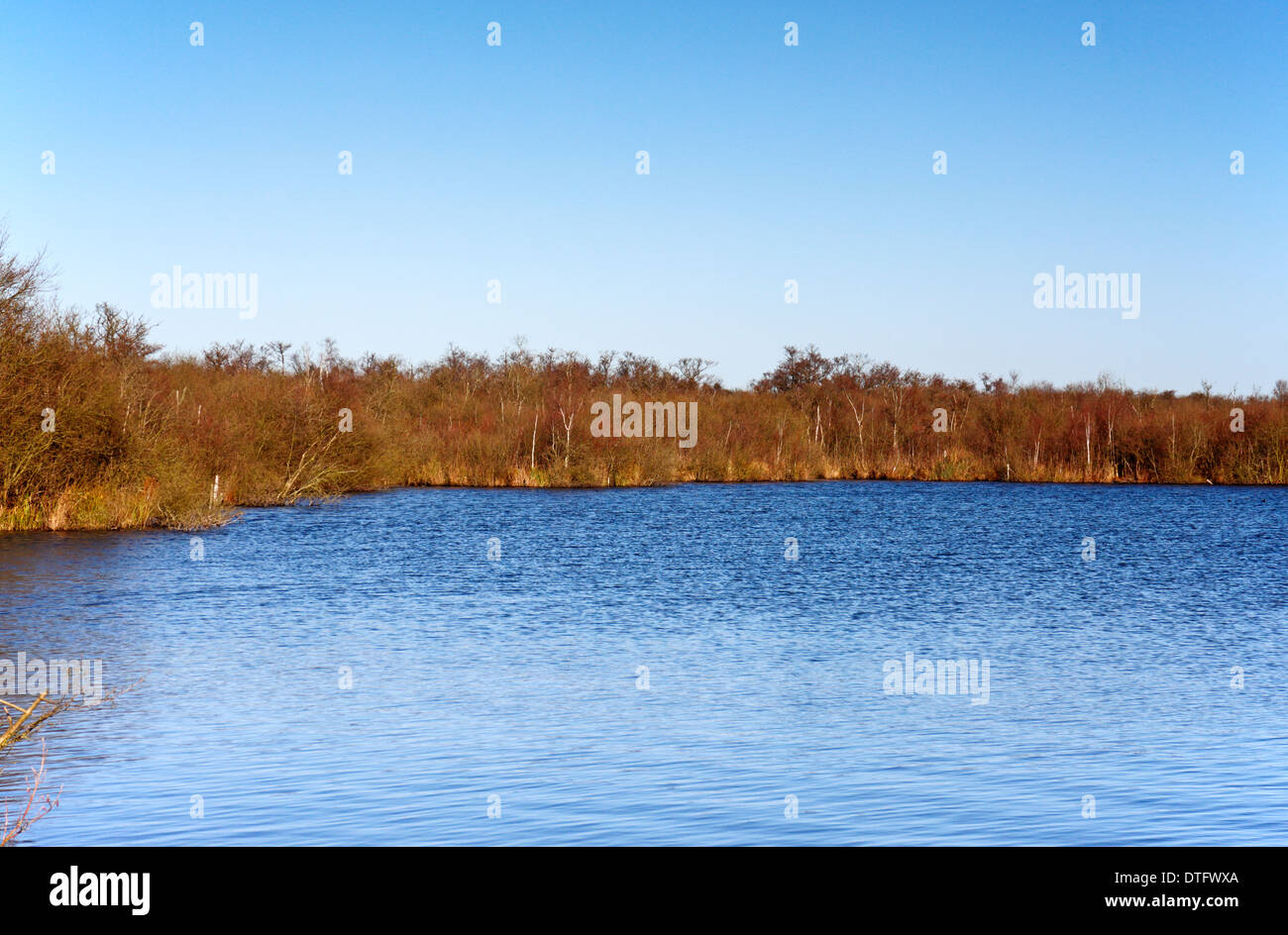 A view of a corner of Barton Broad on the Norfolk Broads, England ...