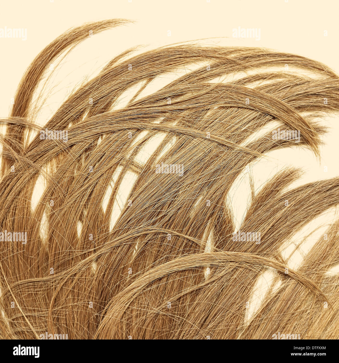 Flaxen hair hi-res stock photography and images - Alamy