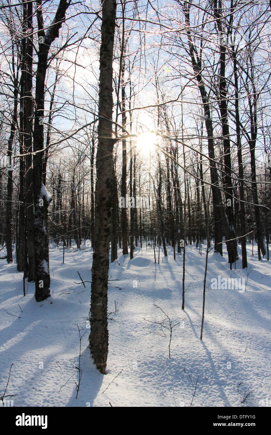 Canada quebec valcourt hi-res stock photography and images - Alamy