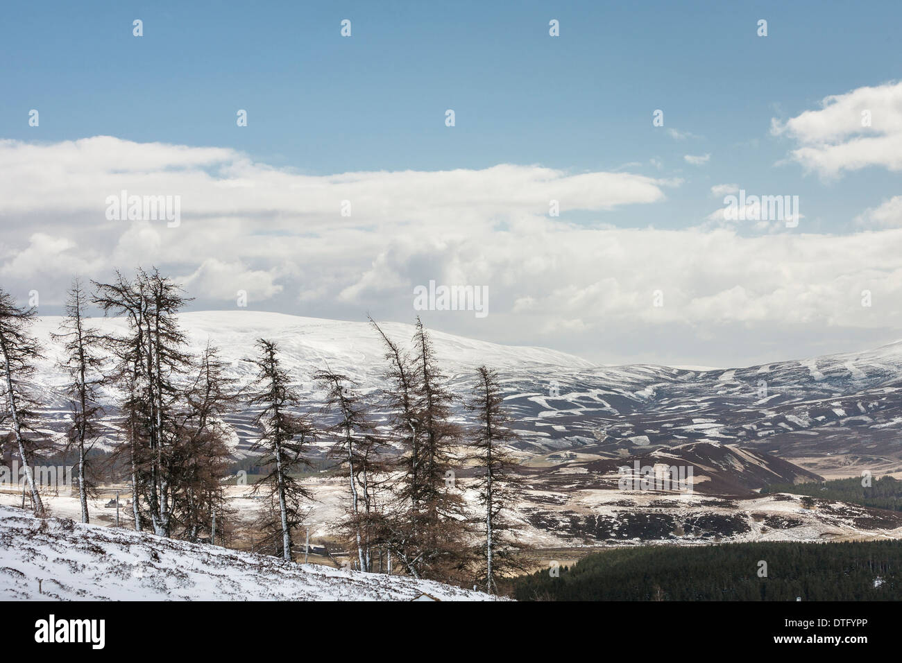 The lecht hi-res stock photography and images - Alamy