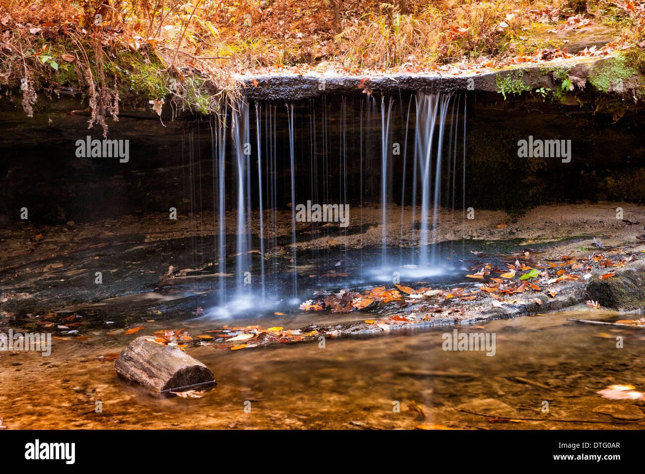 Pickle Springs Natural Area - Pickle Springs Stock Photo - Alamy