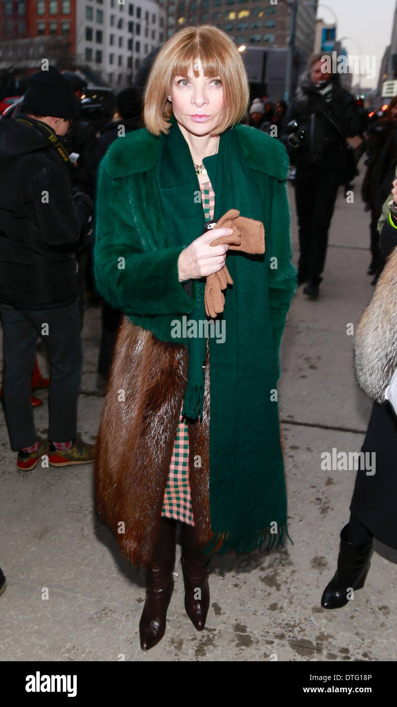 Vogue editor-in-chief Anna Wintour arriving at the Diane von ...