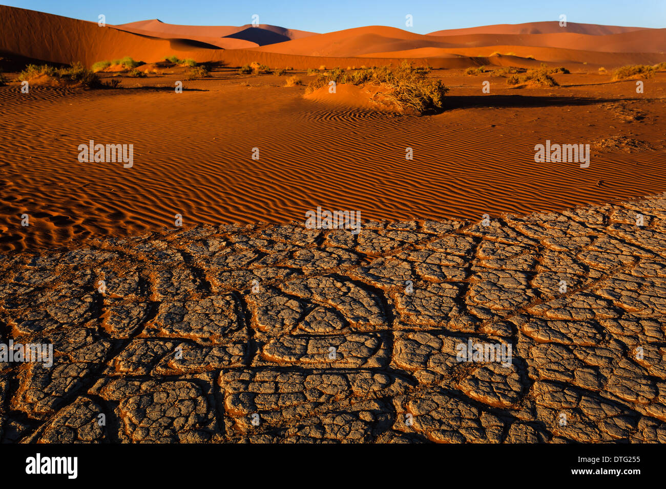 Cracked mud from an ancient lake amid the desert dunes in Namibia ...