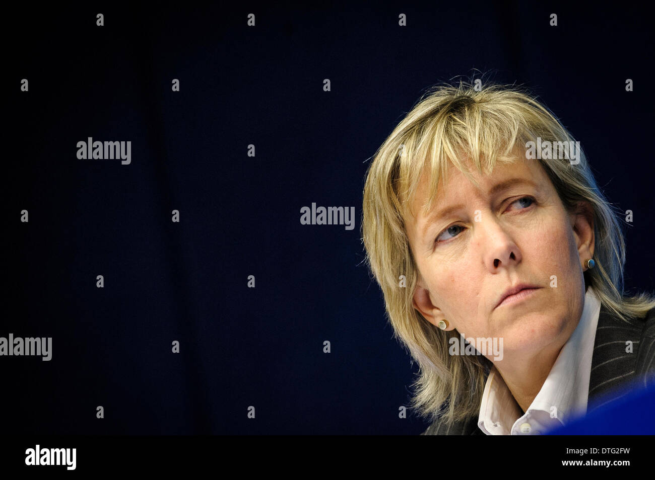 Portuguese Finance minister Maria Luis Albuquerque during an OECD ...