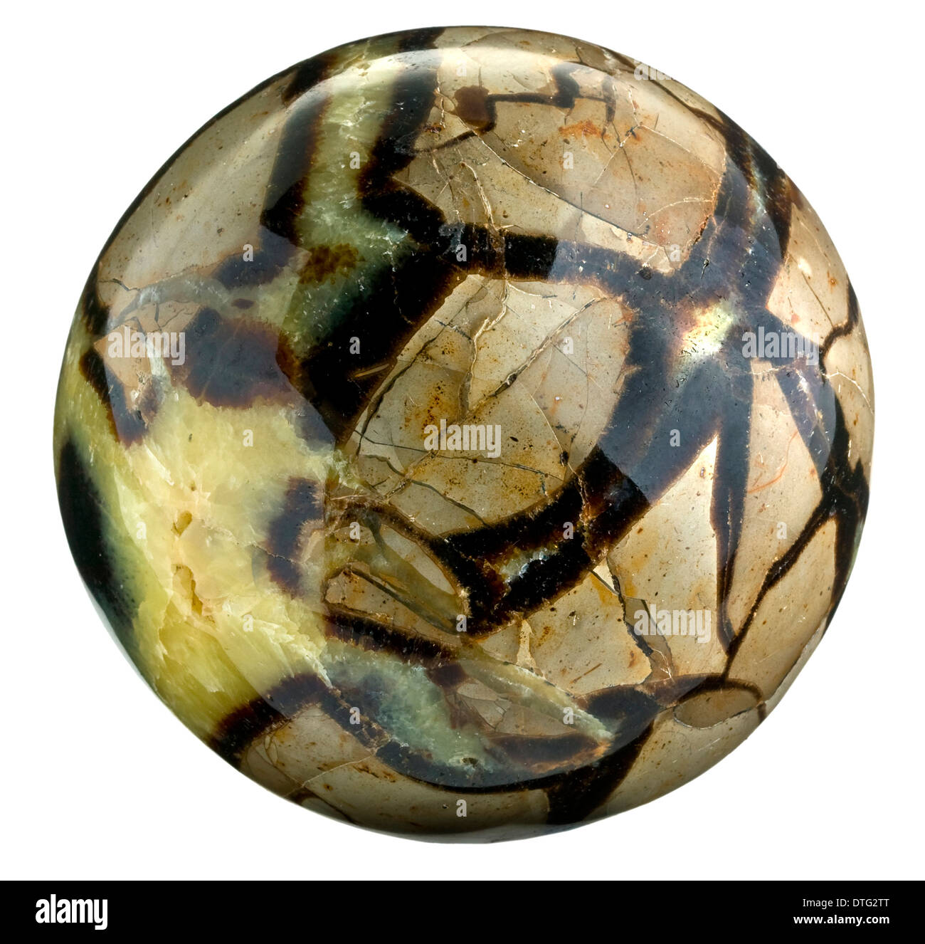 Septarian nodule hi-res stock photography and images - Alamy