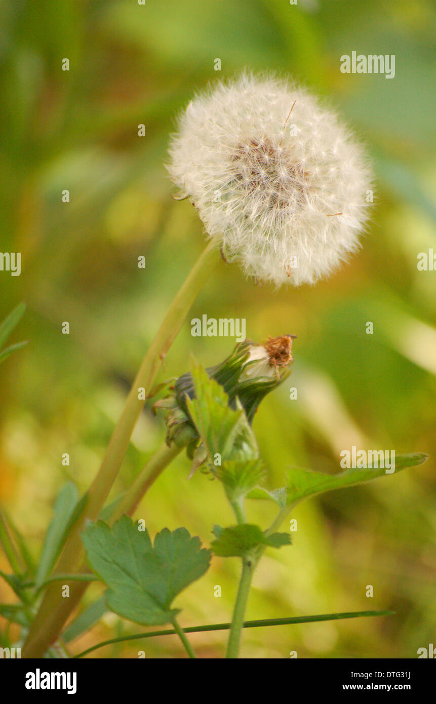 Clyde clock hi-res stock photography and images - Alamy