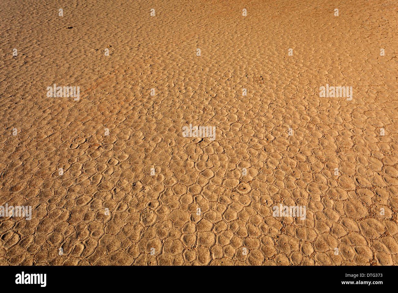 Dry cracked desert mud pattern colored white by salt from ancient lake ...