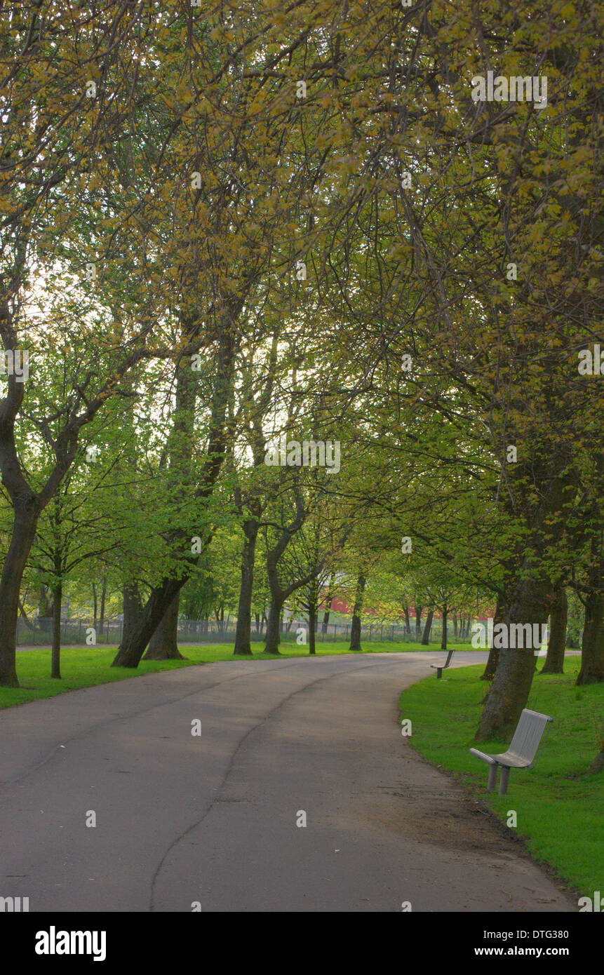Glasgow green trees hi-res stock photography and images - Alamy
