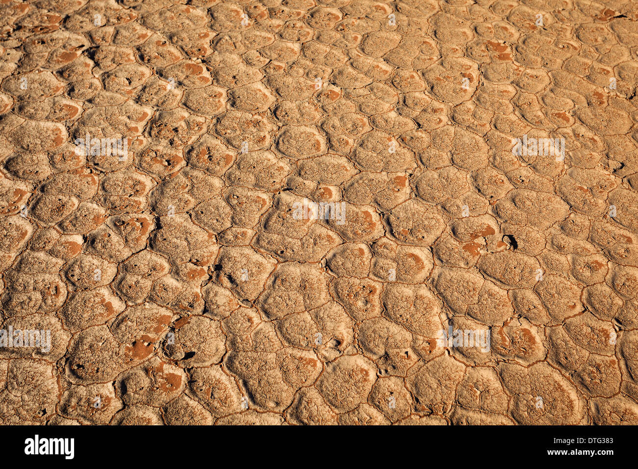 Dry cracked desert mud pattern colored white by salt from ancient lake ...