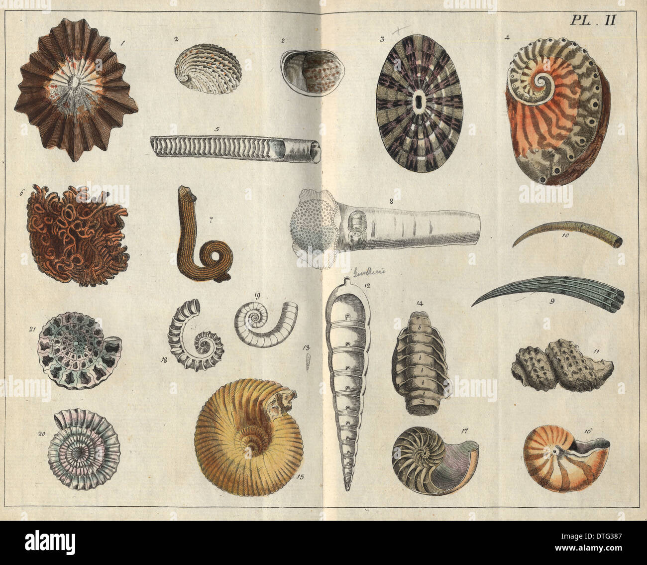 Various hi-res stock photography and images - Alamy