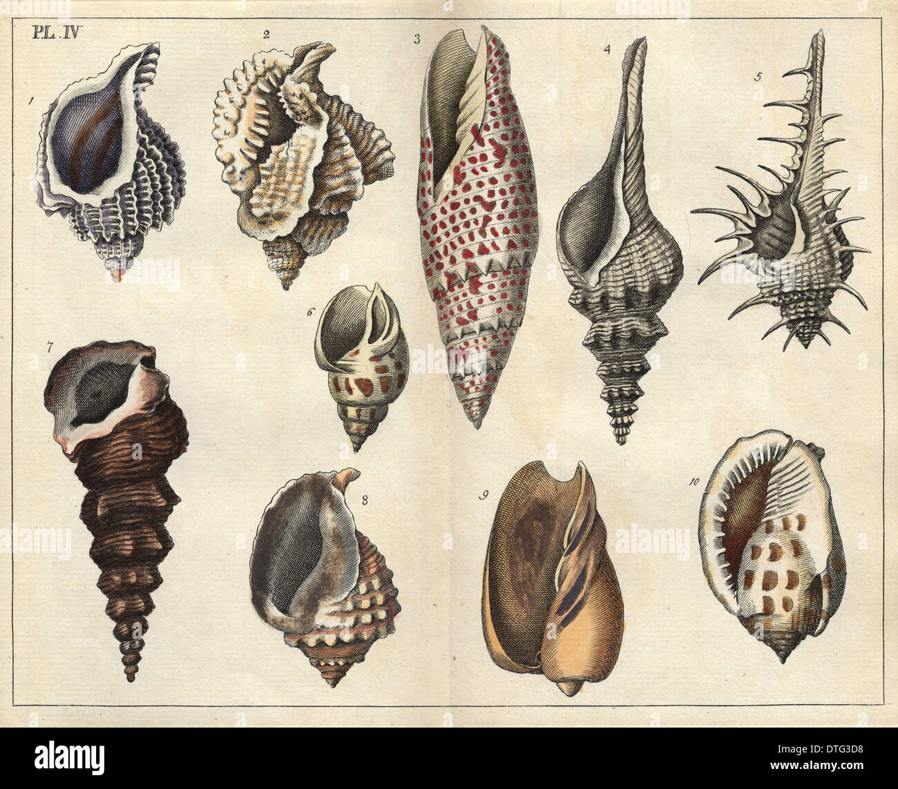 Various hi-res stock photography and images - Alamy