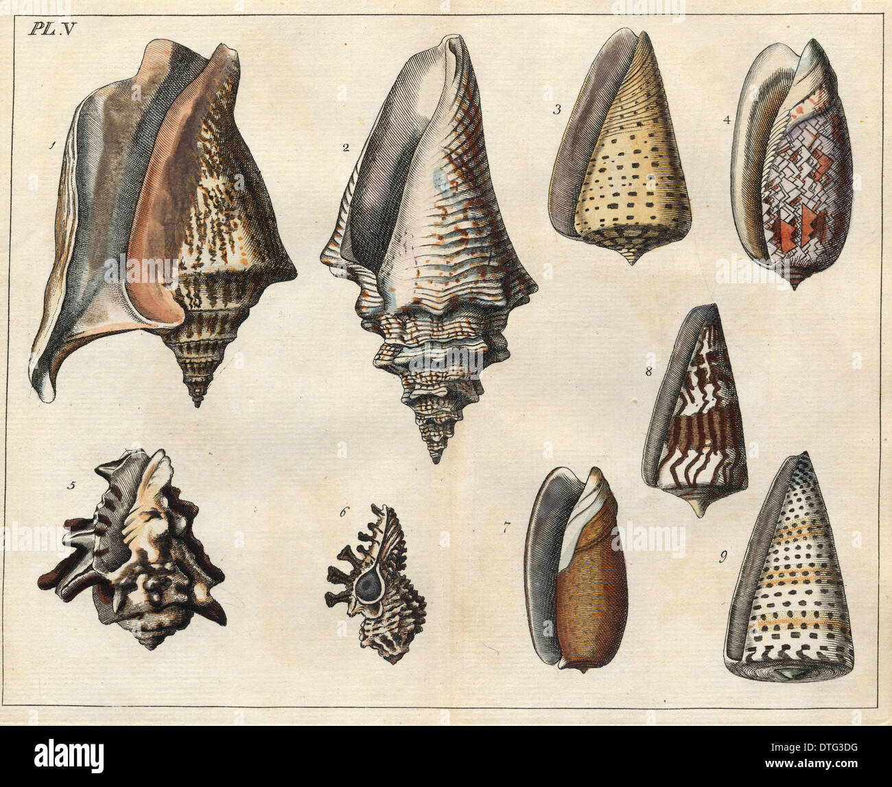 Various hi-res stock photography and images - Alamy