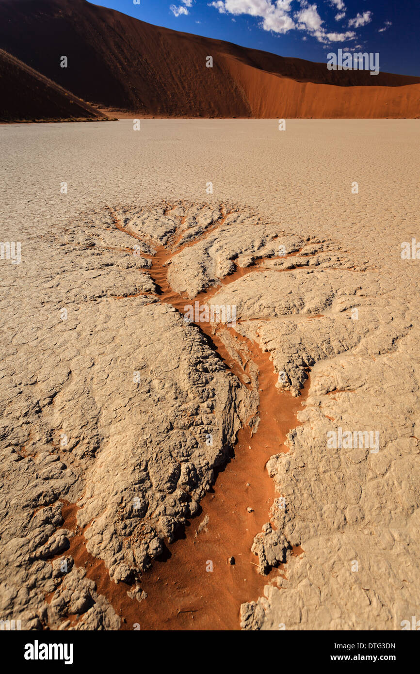 Mud Tree drainage pattern in old lake bed in desert Stock Photo - Alamy