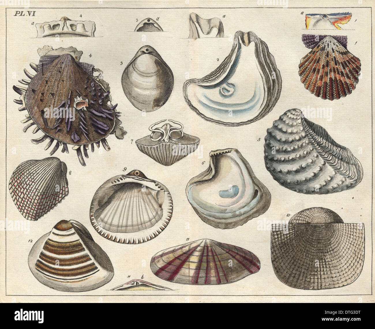 Various hi-res stock photography and images - Alamy