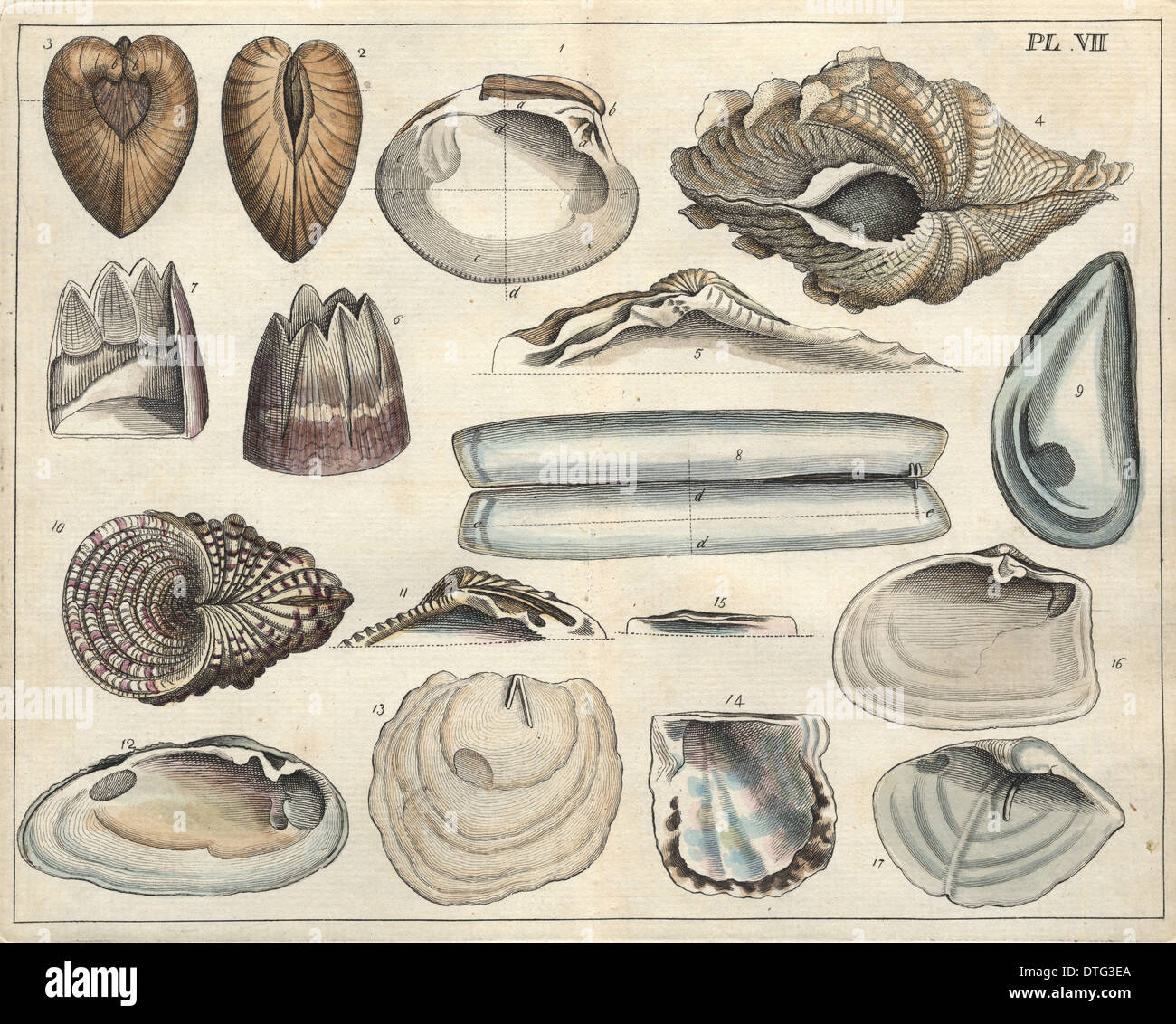 Various hi-res stock photography and images - Alamy