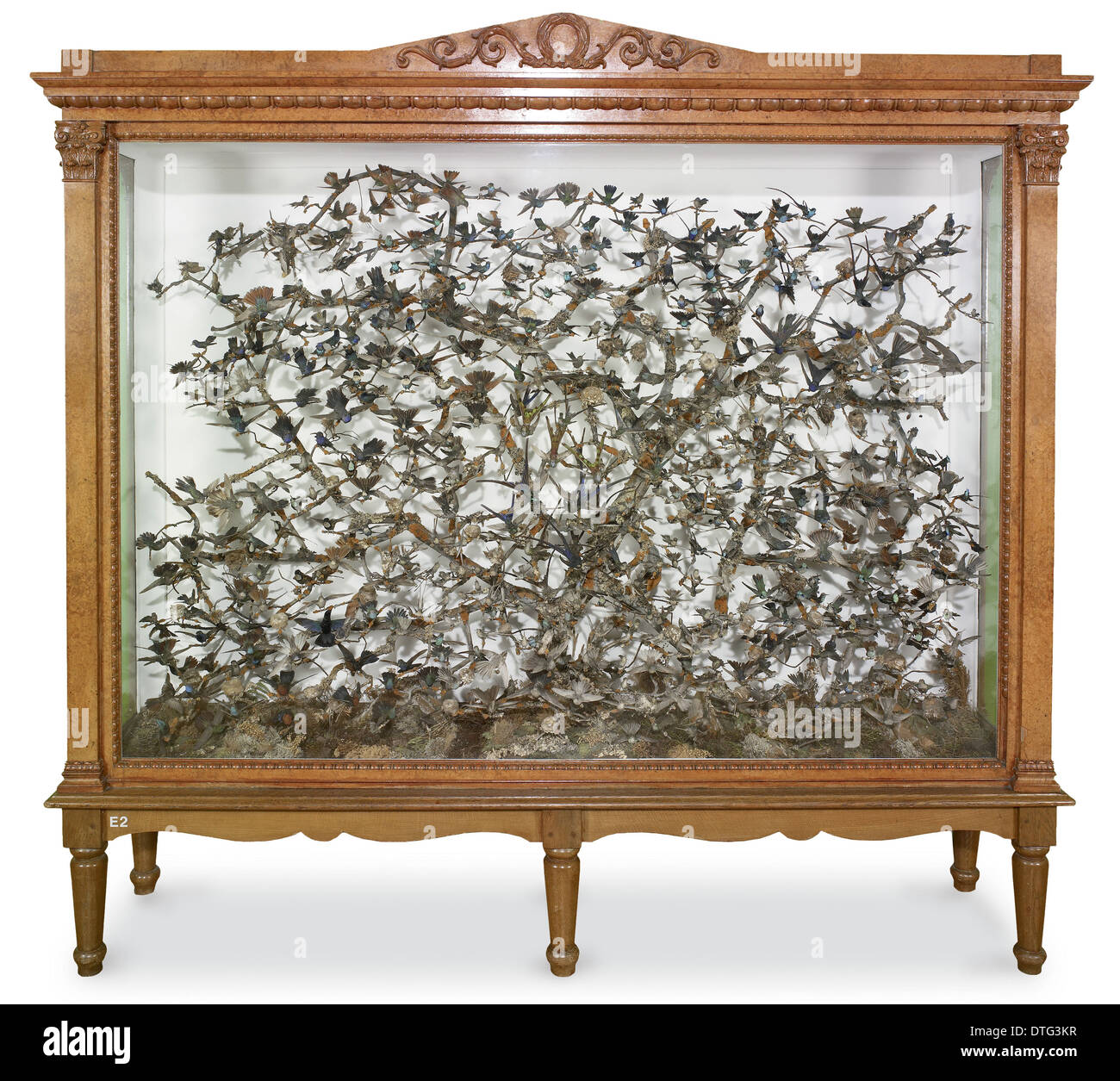 Victorian bird case hi-res stock photography and images - Alamy