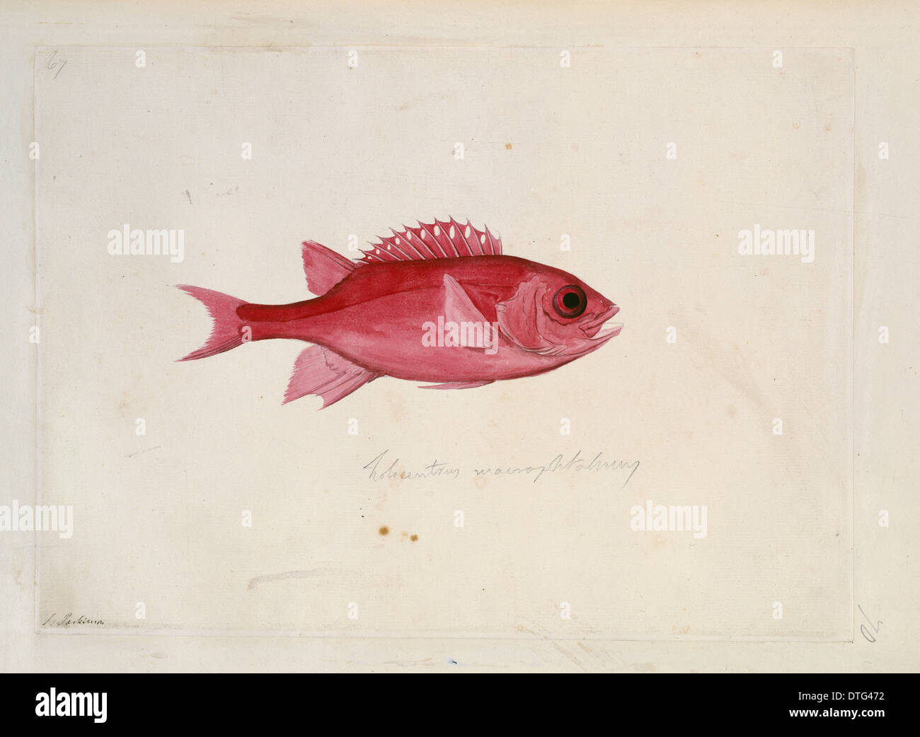 Lined hi-res stock photography and images - Alamy