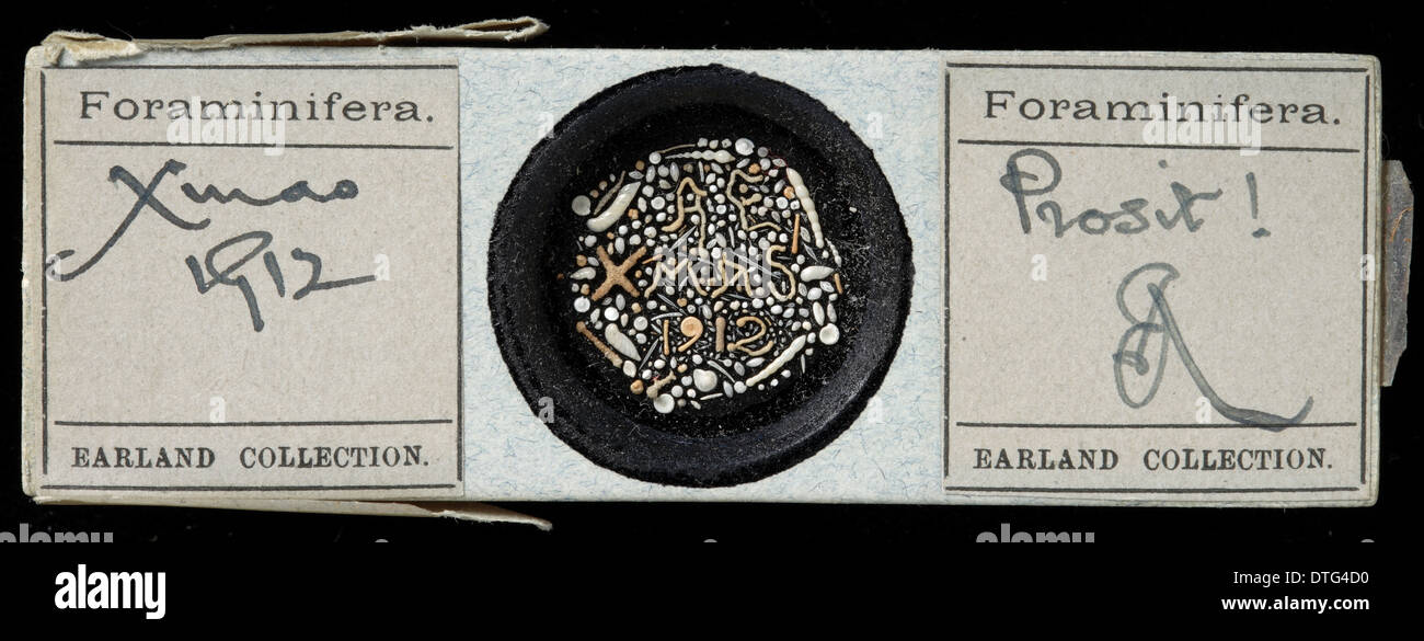 Heron- Allen microscope slides of foraminifera Stock Photo - Alamy