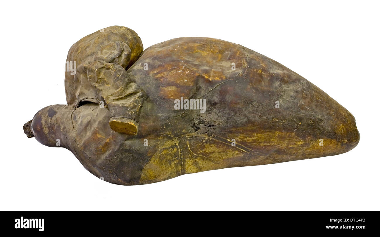 Whale heart hi-res stock photography and images - Alamy