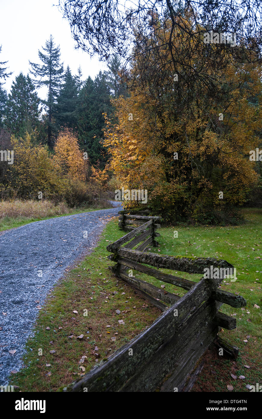 Autumn colour in BC, Canada Stock Photo - Alamy