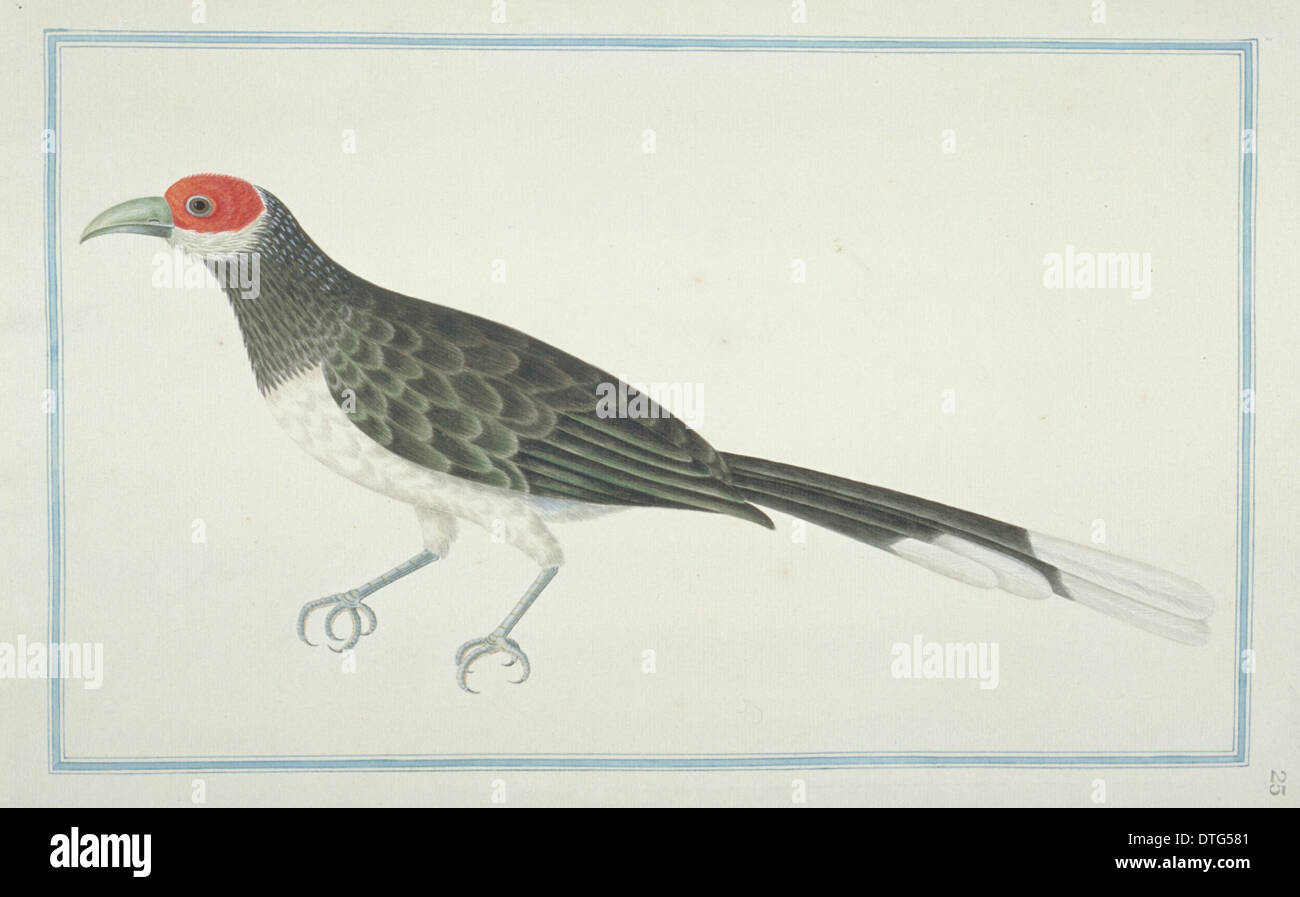 Curved faced hi-res stock photography and images - Alamy